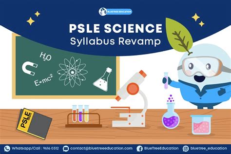 Free Primary 6 Psle Science Notes No Registration Required