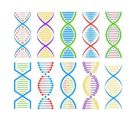 Premium Vector Dna Structure Icon Set Structure Molecule And Cell