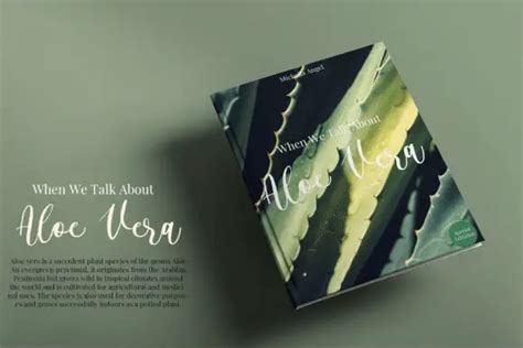 Alyssa Calligraphy Font Upfonts