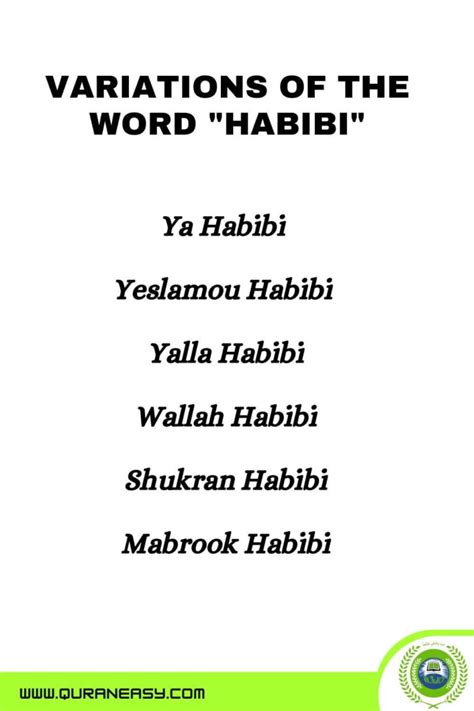 Habibi Meaning And Its Expressions Yallah Wallah Shukran Habibi