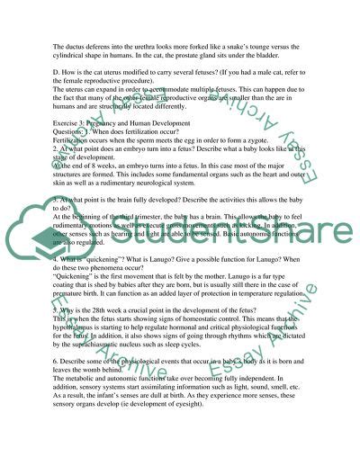 The Reproductive System Lab Report Example Topics And Well Written