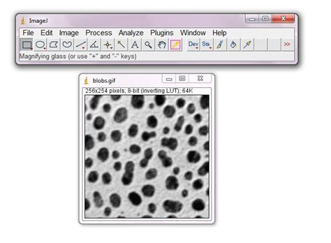 tute1 basic image processing with imagej youtube