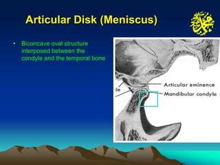Mandibular Movement Ppsx