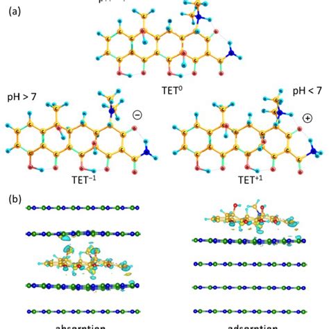 Schematics Of Tetracycline Structure With Different Charges A And