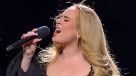 Adele Ultimo Concerto Primo Della Lunga Pausa Mi Mancherete