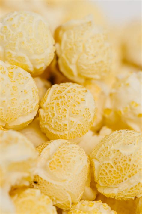 1bs Mushroom Shaped Unpopped Popcorn Kernels Princeton Popcorn Company
