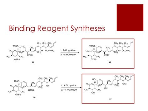 Binding Reagent At Savannah Cawthorne Blog