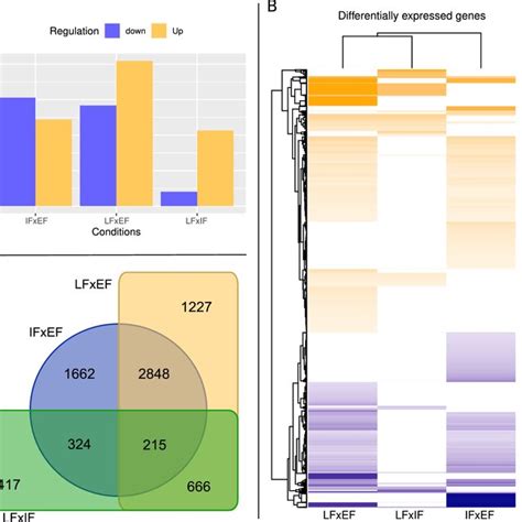 Differential Gene Expression Profiles During Different Cotton Flower Download Scientific
