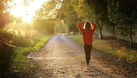 Walk In Nature And Shake Off The Summer Heat Feature News Zee News