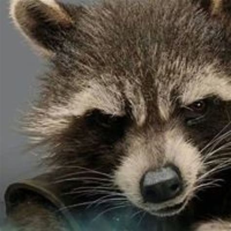 Stream Paul Allan Colbourne Music Listen To Songs Albums Playlists