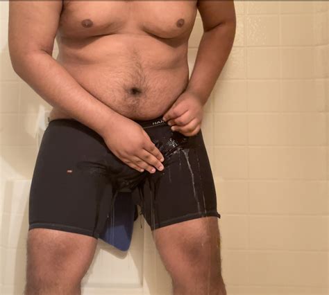 Mixed Cub Bear Pissed Himself