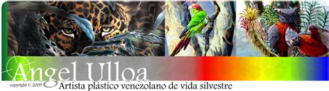 Angel Ulloa BiografÍa