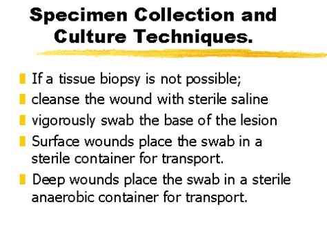 Specimen Collection And Culture Techniques