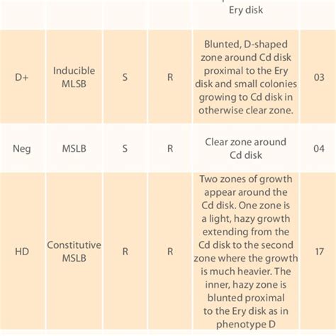 Characteristics Of Clindamycin Induction Test Phenotypes As Tested By Download Scientific