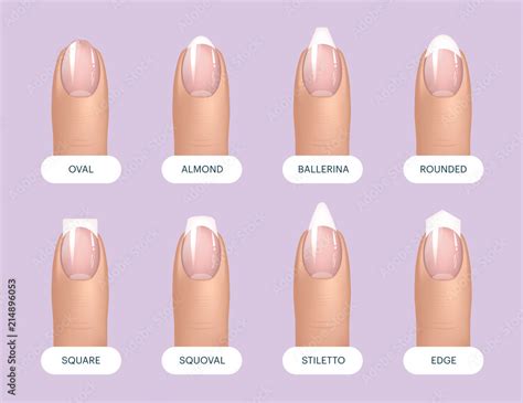 Set Of Simple Realistic Natural Manicured Nails With Different Shapes