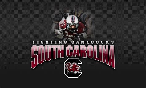Carolina Gamecocks Wallpapers Top Free Carolina Gamecocks Backgrounds Wallpaperaccess