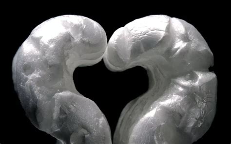 Where Can I Recycle Styrofoam Blocks Peanuts And Foodware Sierra Club