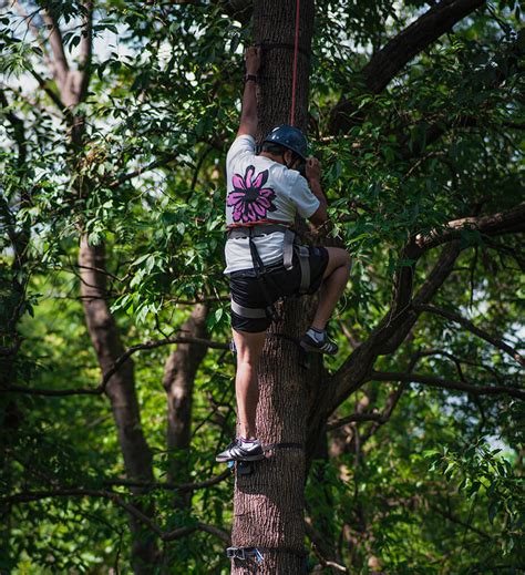 Ape Climb Adventure Activity Himalayan Adrenaline