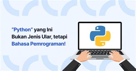 Python Yang Ini Bukan Jenis Ular Tetapi Bahasa Pemrograman