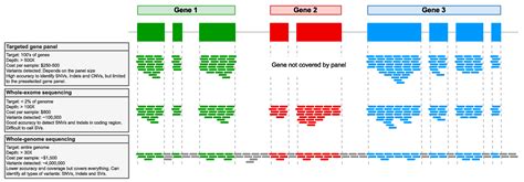 From Samples To Germline And Somatic Sequence Variation A Focus On Next Generation Sequencing