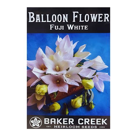Balloon Flower Fuji White My Organic World