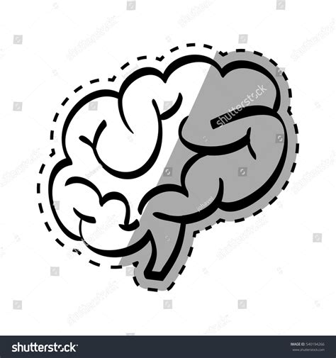 Human Brain Scribble Icon Vector Illustration Stock Vector Royalty
