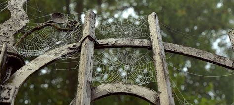 Jade Rubick Why Are Process Gates The Hellish Spawn Of Evil You