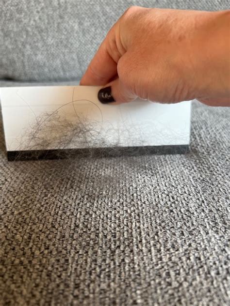 What Is The Best Way To Remove Dog Hair From Furniture