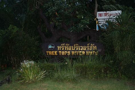 Tree Tops River Huts Bang Pru TailÂndia 140 Fotos Comparação De