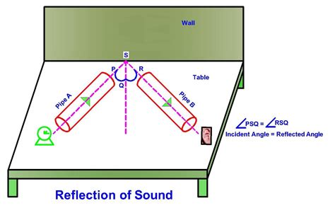Sound Class 9 Science Ncert Chapter 12 Cbse 9thscience