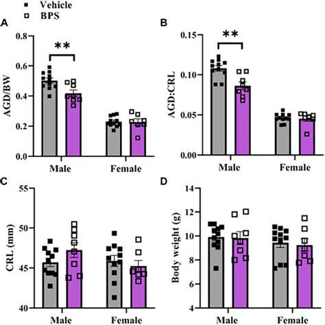 Frontiers Prenatal Exposure To A Low Dose Of Bps Causes Sex Dependent