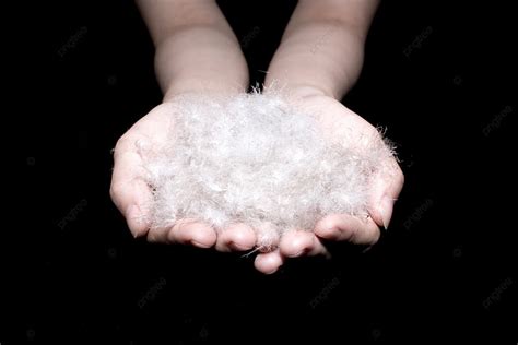 Gambar Background Bebek Putih Turun Vektor Dan File Psd Untuk Unduh Gratis Pngtree