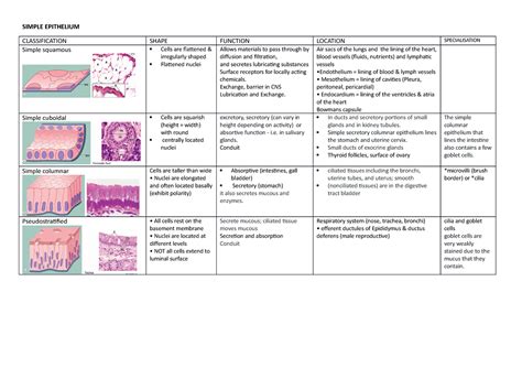 Epithelium Table Summary Simple Epithelium Classification Shape