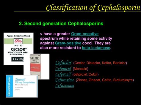 Ppt Cephalosporins Powerpoint Presentation Free Download Id 4278789