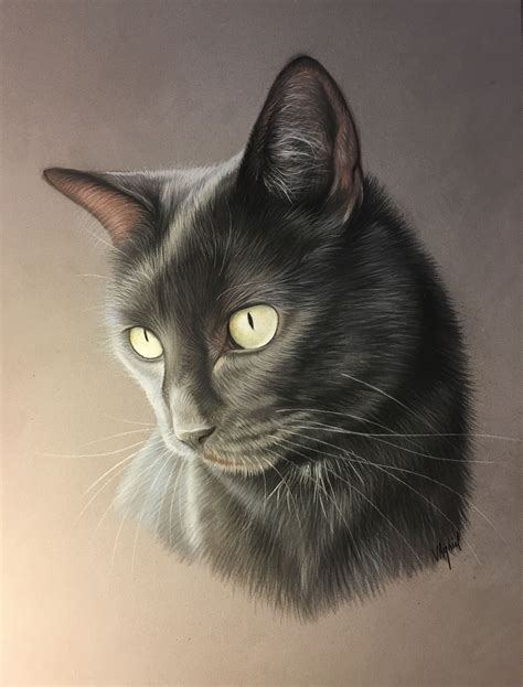 Black Cat Sitting Drawing