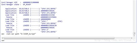 java card 应用开发（五） jcop的调试方法 java card cref教程 csdn博客