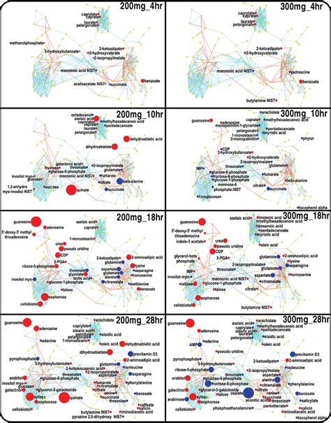 Metabolic Networks Of Biochemical Reaction Pairs Red Edges And