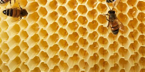 My Flow Frames Have Different Heights Is This Normal