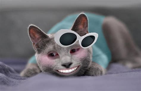 Im A Catboy Gwogy Truther☺😊 Any Other Catboy Gogy Enthusiasts Here😳👉👈