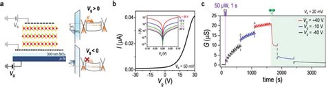 Gate‐tunable Photo‐memtransistor A Schematics Of Back‐gated