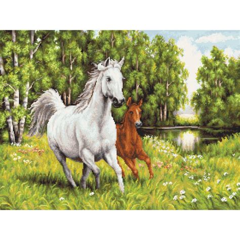 Set Goblen In Libertate