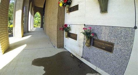 Exploding Caskets In Tombs Fact 46438