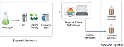 Enhancing Biomethane Yield From Microalgal Biomass Via Enzymatic Hydrolysis Optimization And