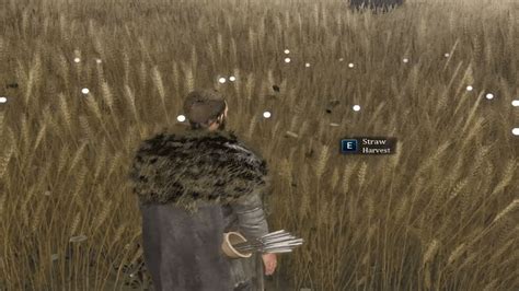 Bellwright How To Get Wheat And Wheat Seeds