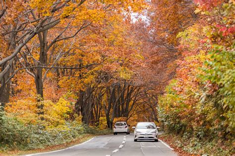 秋季青森县八甲田金线高清图片下载 正版图片503607260 摄图网