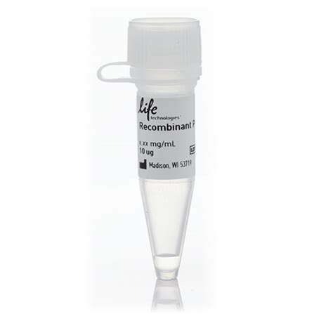 Invitrogen™ Ulk1 Recombinant Human Protein 10μg Invitrogen™ Ulk1