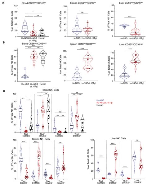 Phenotypically Mature Human Nk Cells Are Elevated In Hu Nsg Tgil 15