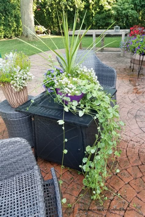 How To Make Beautiful Flower Pots At Home Easy Plant Steps