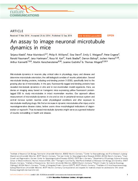 Pdf An Assay To Image Neuronal Microtubule Dynamics In Mice