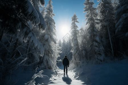 一望无际的雪地高清图片下载 正版图片600310233 摄图网